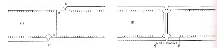 Raboutage ipe 300 et heb 240